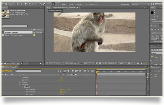 Puppet Tool After Effects Slidesharedocs
