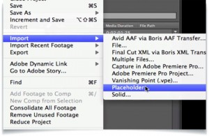 Using Placeholders in After Effects
