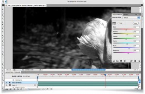 Color Grading Footage with Photoshop and After Effects