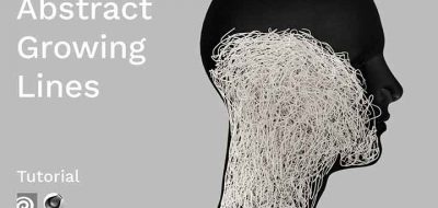 Draw Your Model in Fluid Contour Lines With Houdini - Lesterbanks